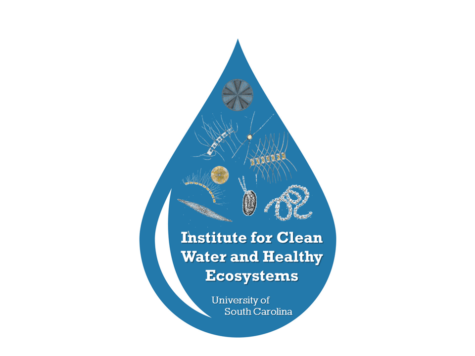 Current Research – Estuarine Ecology lab